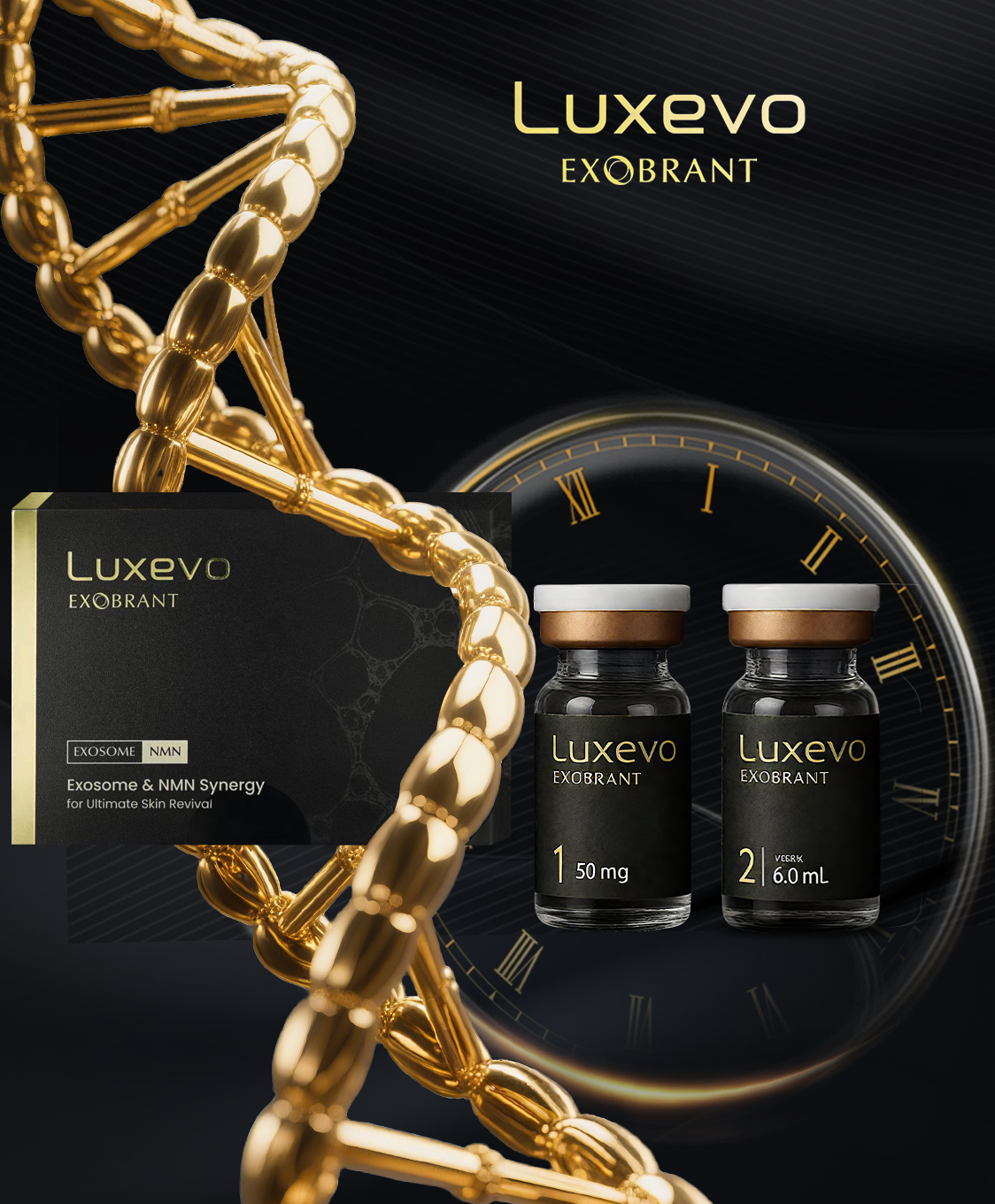About Us – LUXEVO